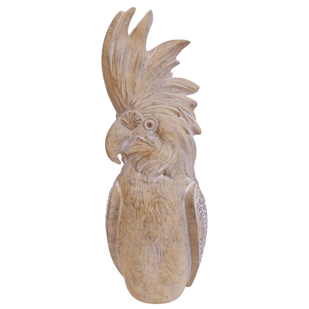 Boho Parrot resin statue (In-store only) - Gizmo Gifts